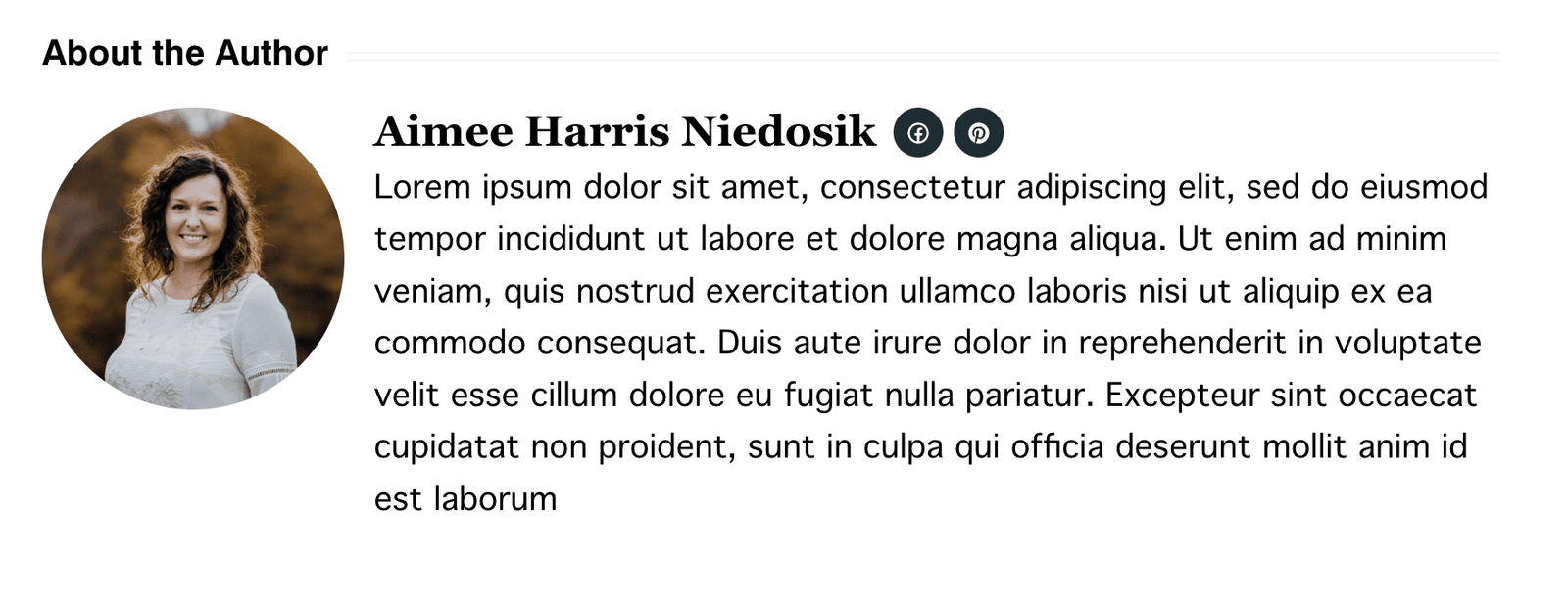 Author Box Guide - Docs - Additional Guide